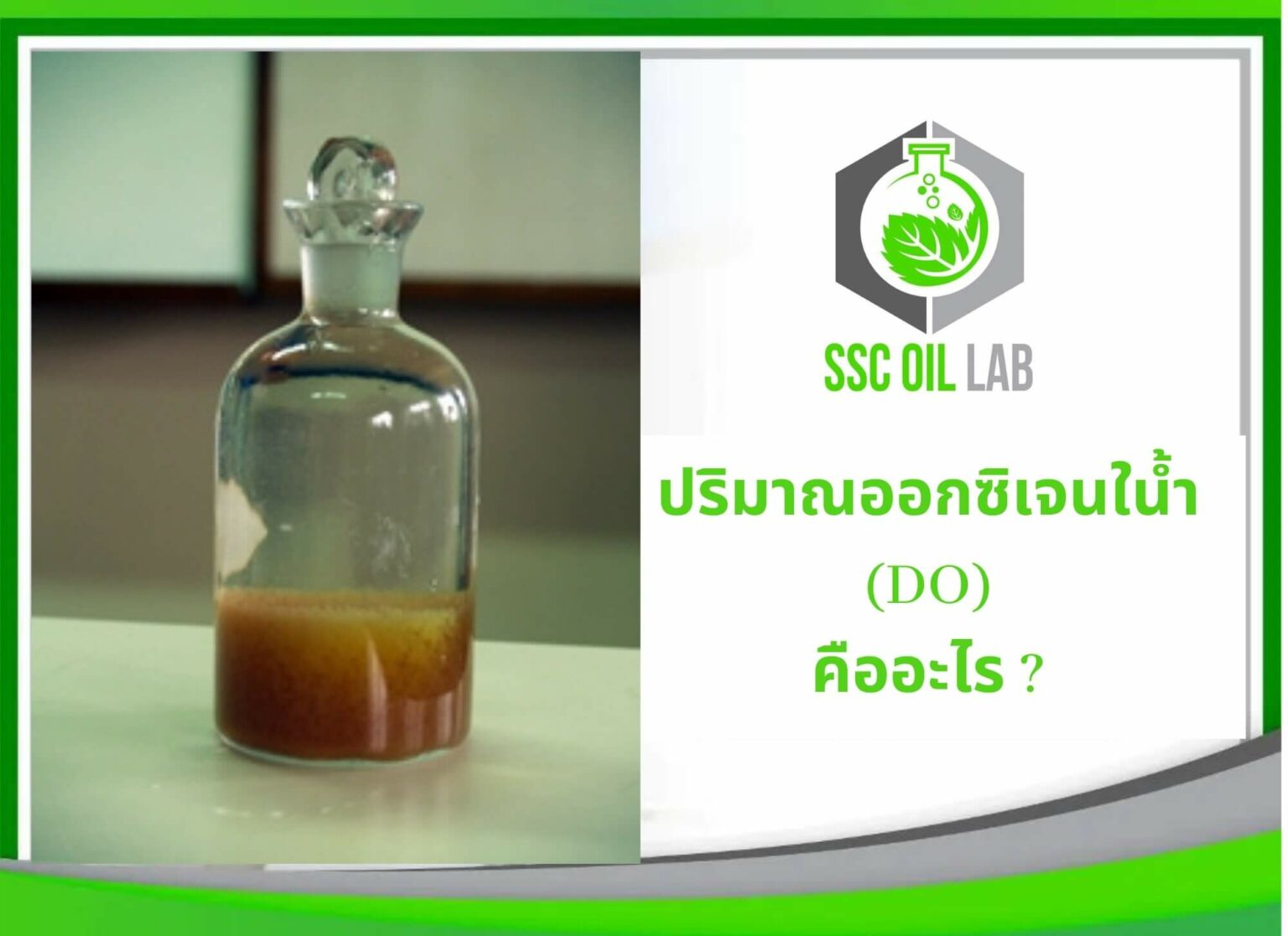ปริมาณออกซิเจนในน้ำ (DO หรือ Dissolved oxygen) คืออะไร - thaitestlab